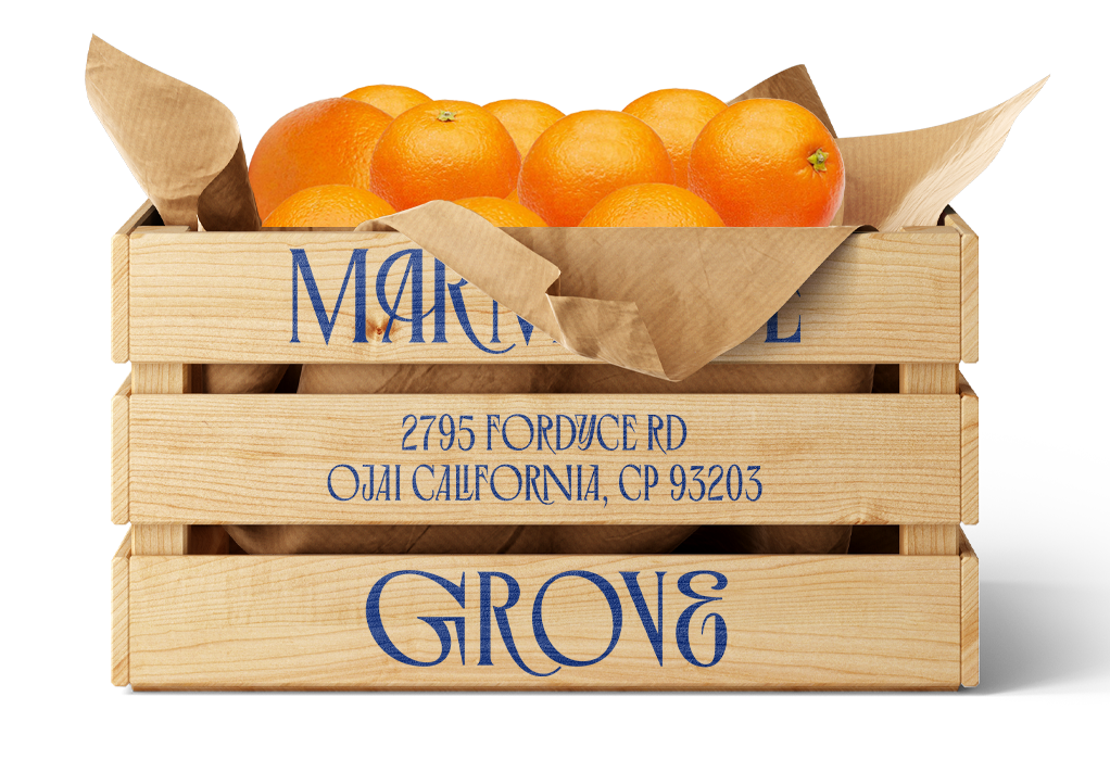 Navel Oranges - 20LB Wholesale Box – Marmalade Grove