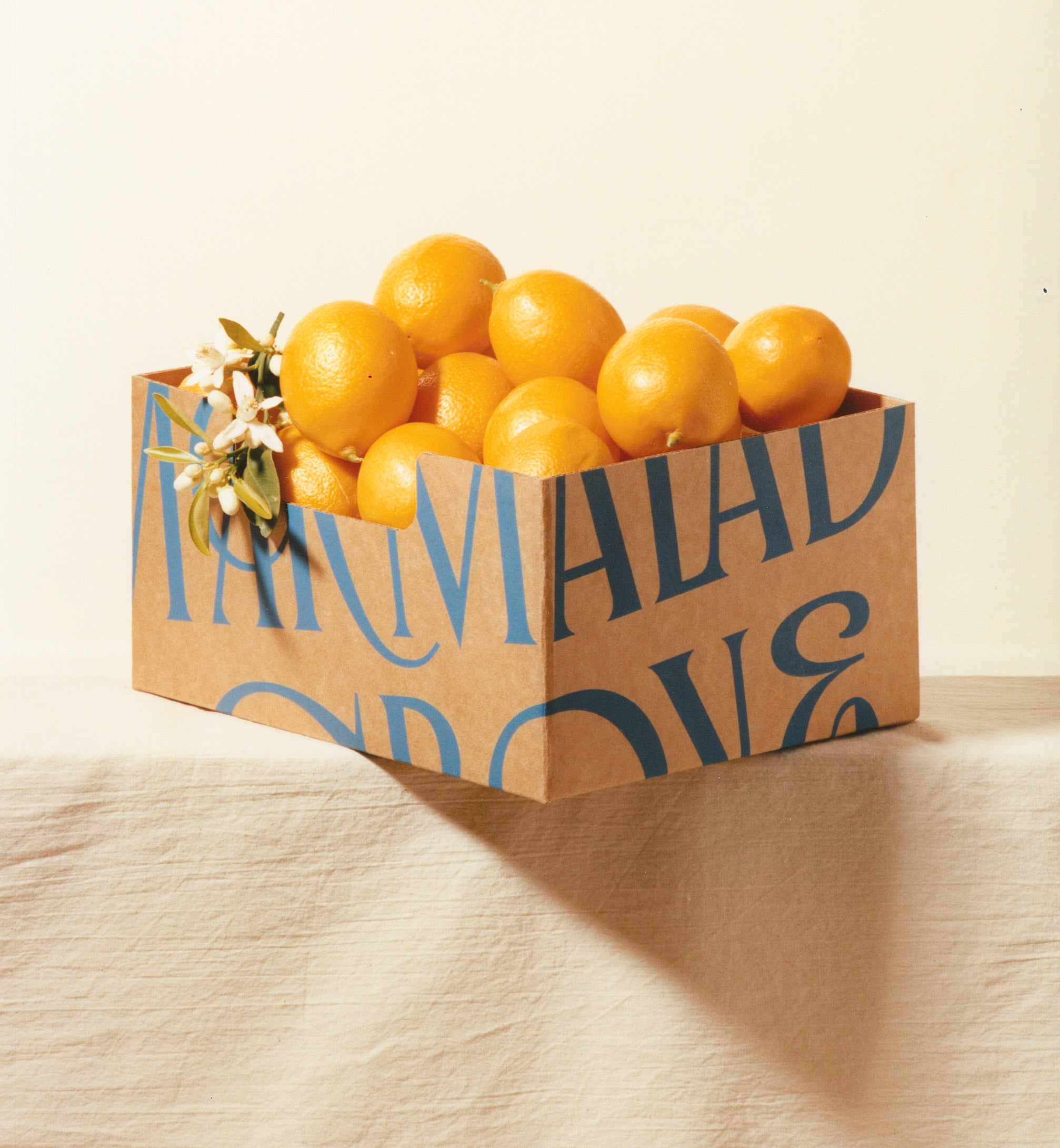 Meyer Lemons – Marmalade Grove